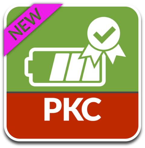 Battery Health – CARA-Europe | Car Remarketing Association Europe